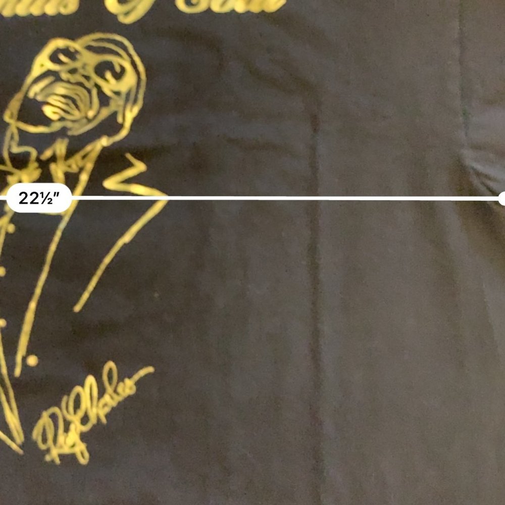 Vintage Ray Charles Logo Piano Gold Lettering Website… - Gem